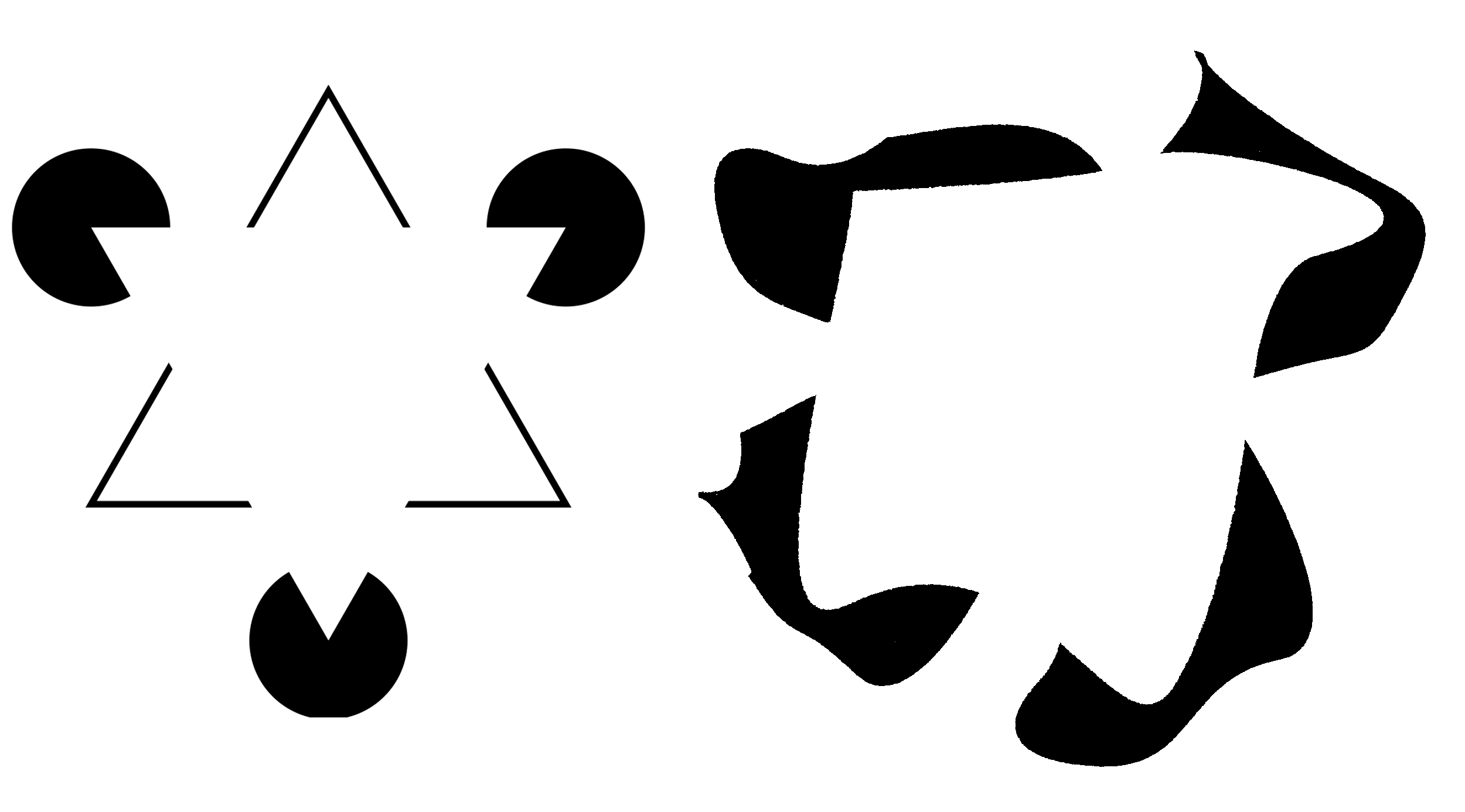 What lies behind illusions? | Inspiring Science